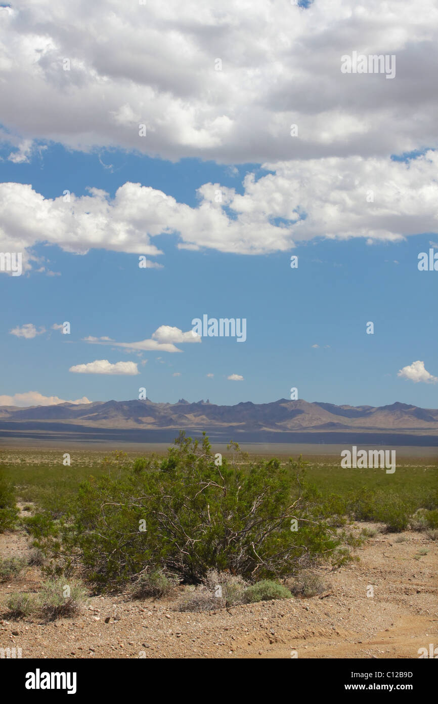 Mojave Desert - southern California Stock Photo - Alamy