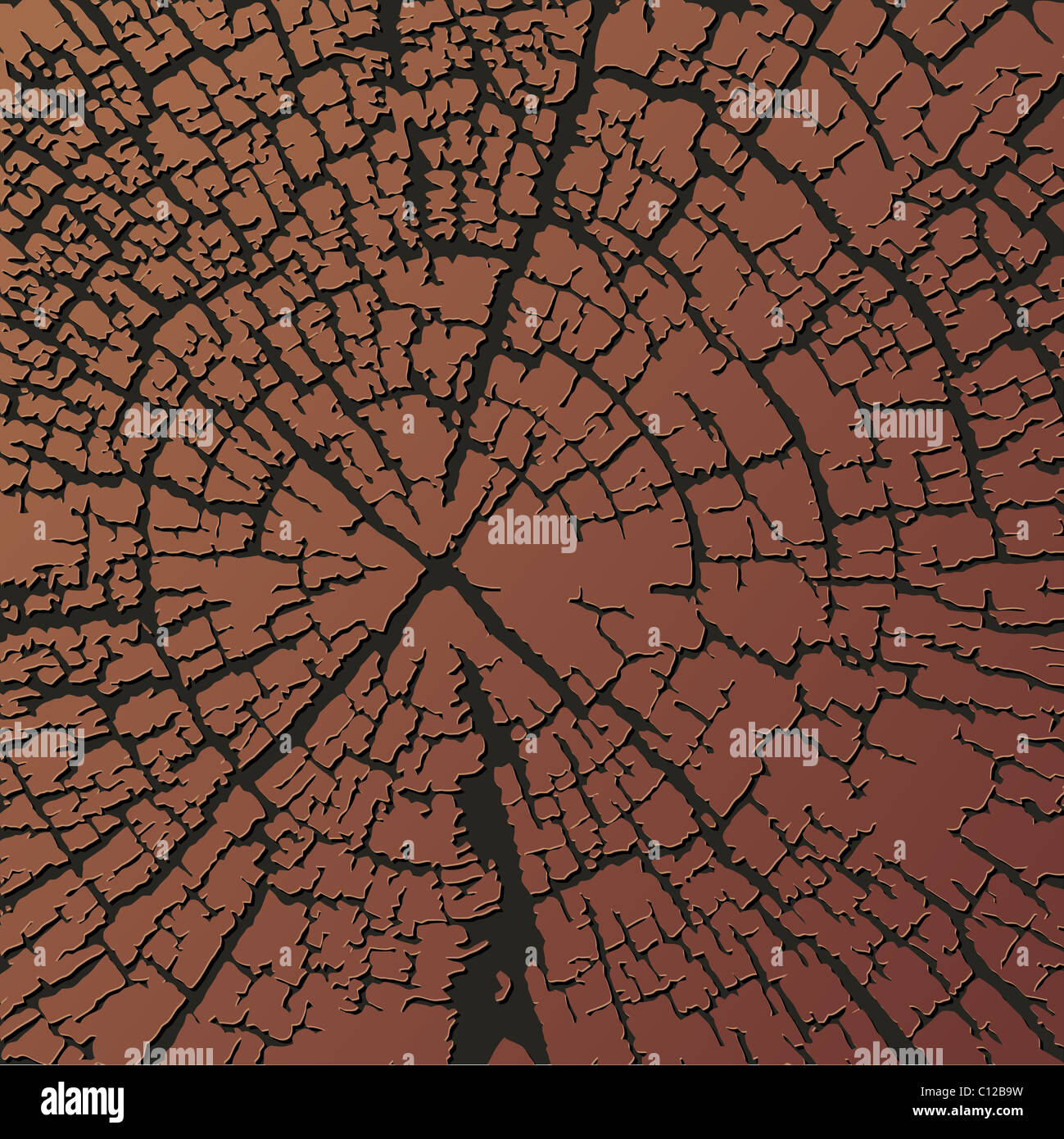 Wood Texture, Annual Rings Stock Photo - Alamy
