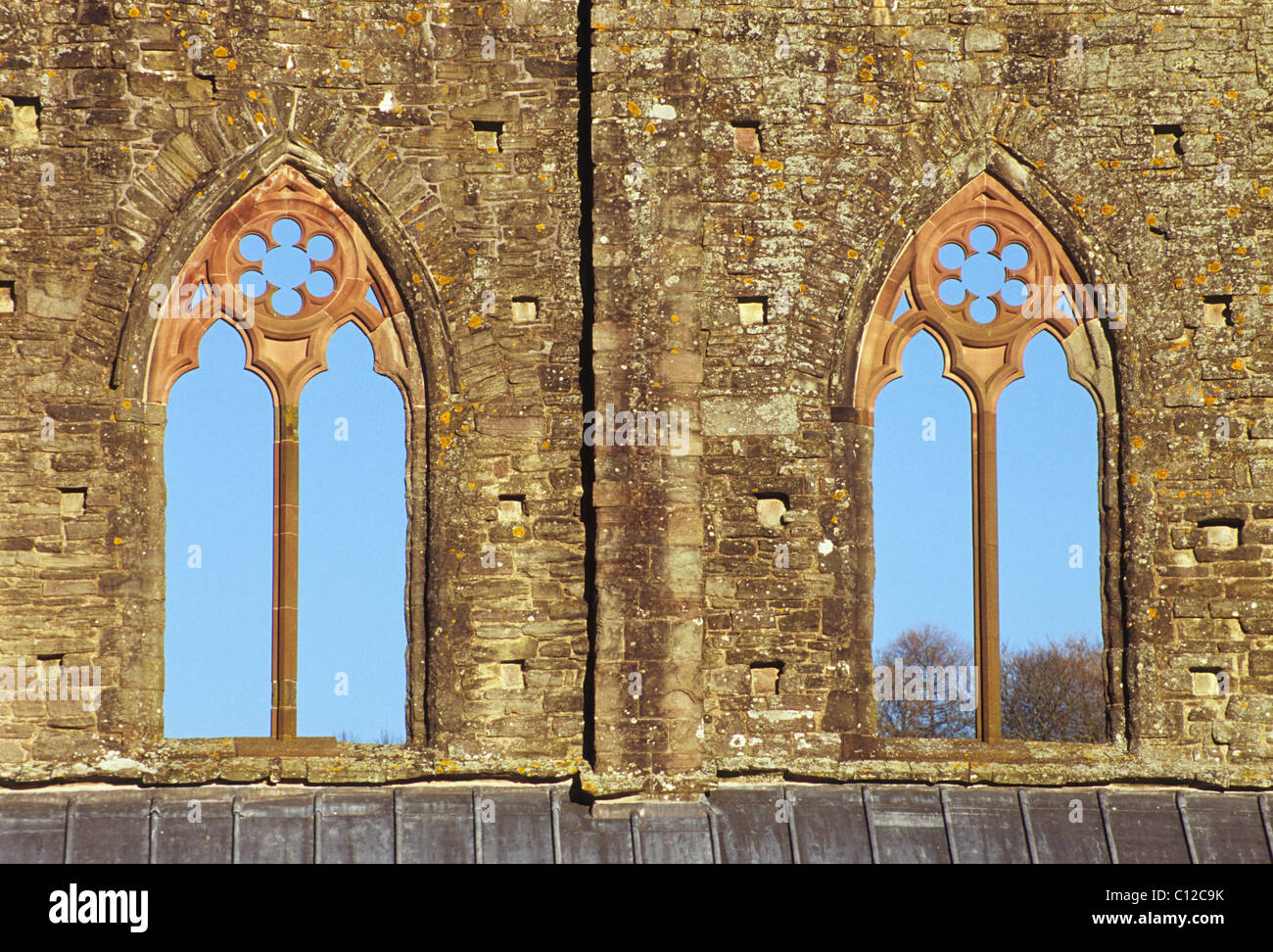 Tintern Abbey detail, Wales Stock Photo - Alamy