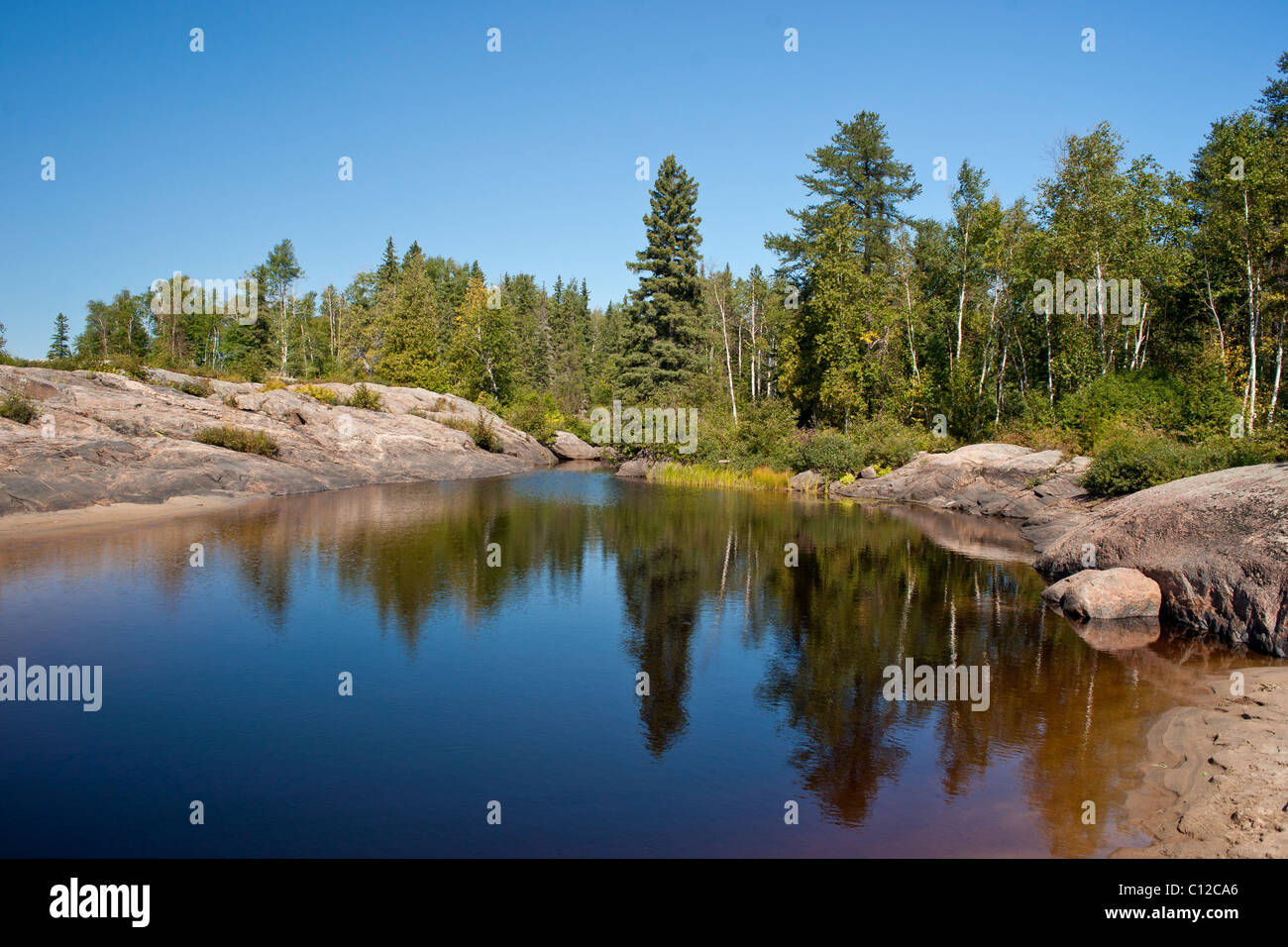 Boreal canada hi-res stock photography and images - Alamy