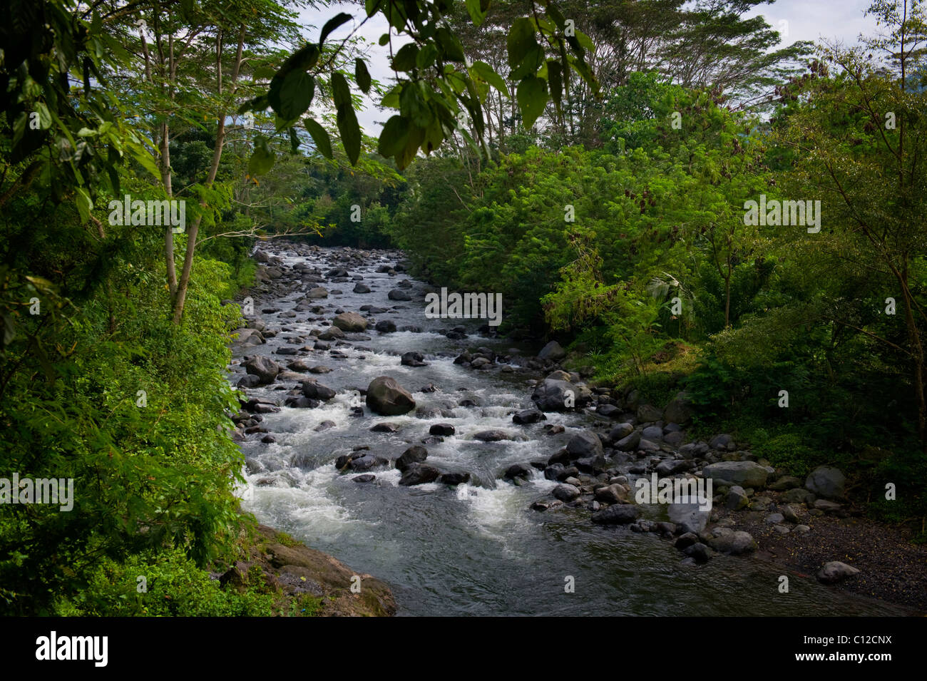 Through the Sideman valley in Bali runs a beautiful river called Unda ...