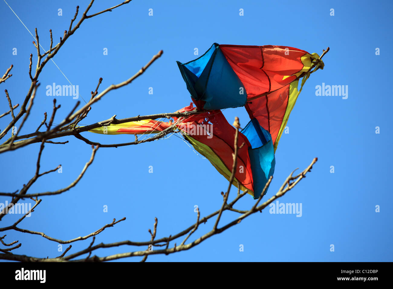 Kite stuck in tree hi-res stock photography and images - Alamy
