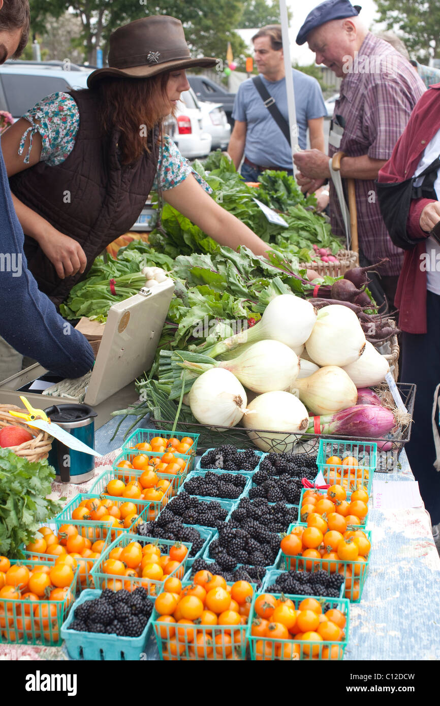 Cherry tomatoes, blackberries and other fresh organic produce at farmer ...