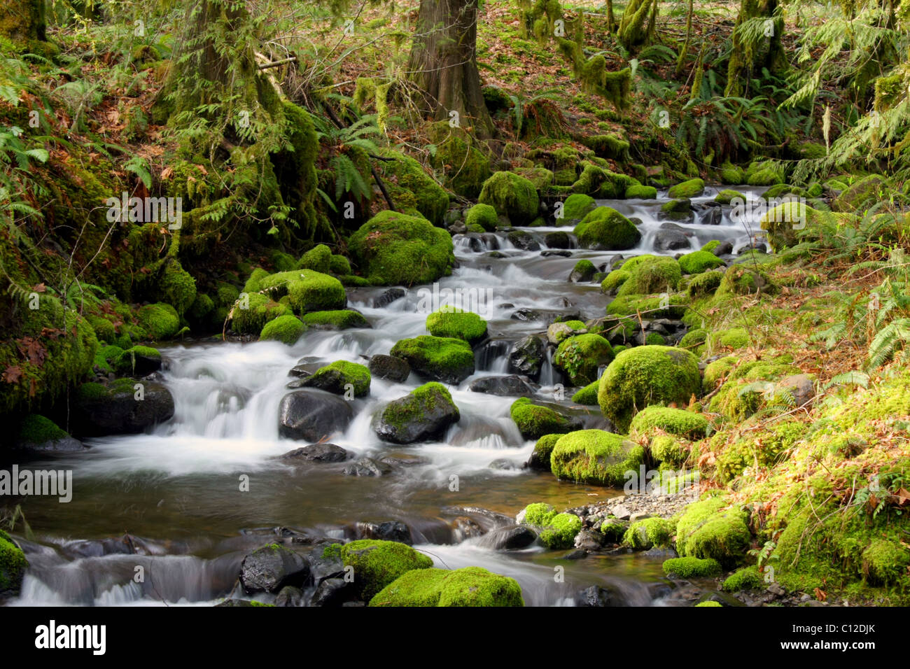 Stream flows through mossy rocks hi-res stock photography and images ...