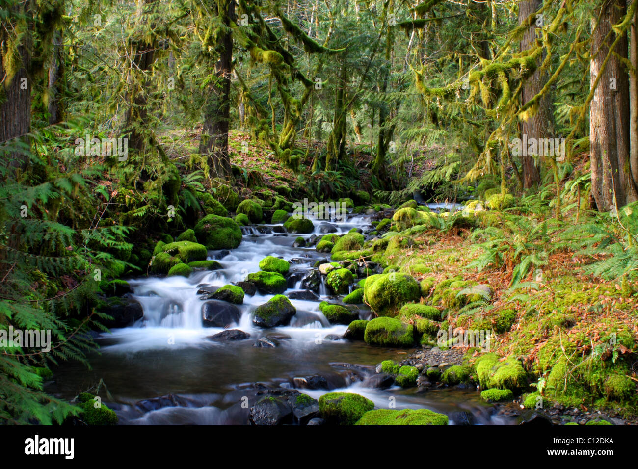 C12dka hi-res stock photography and images - Alamy