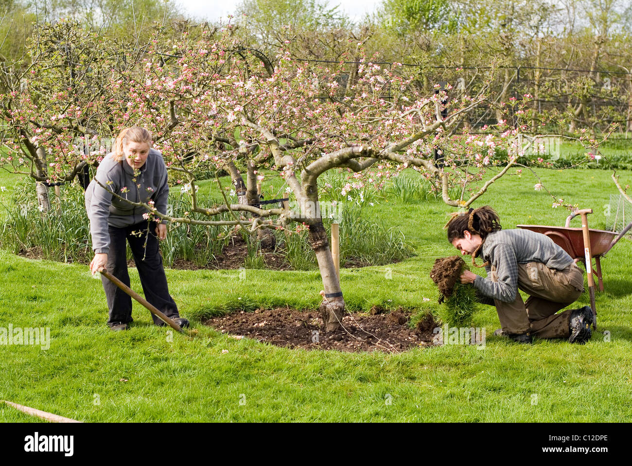 Ryton Organic Gardens High Resolution Stock Photography and Images - Alamy