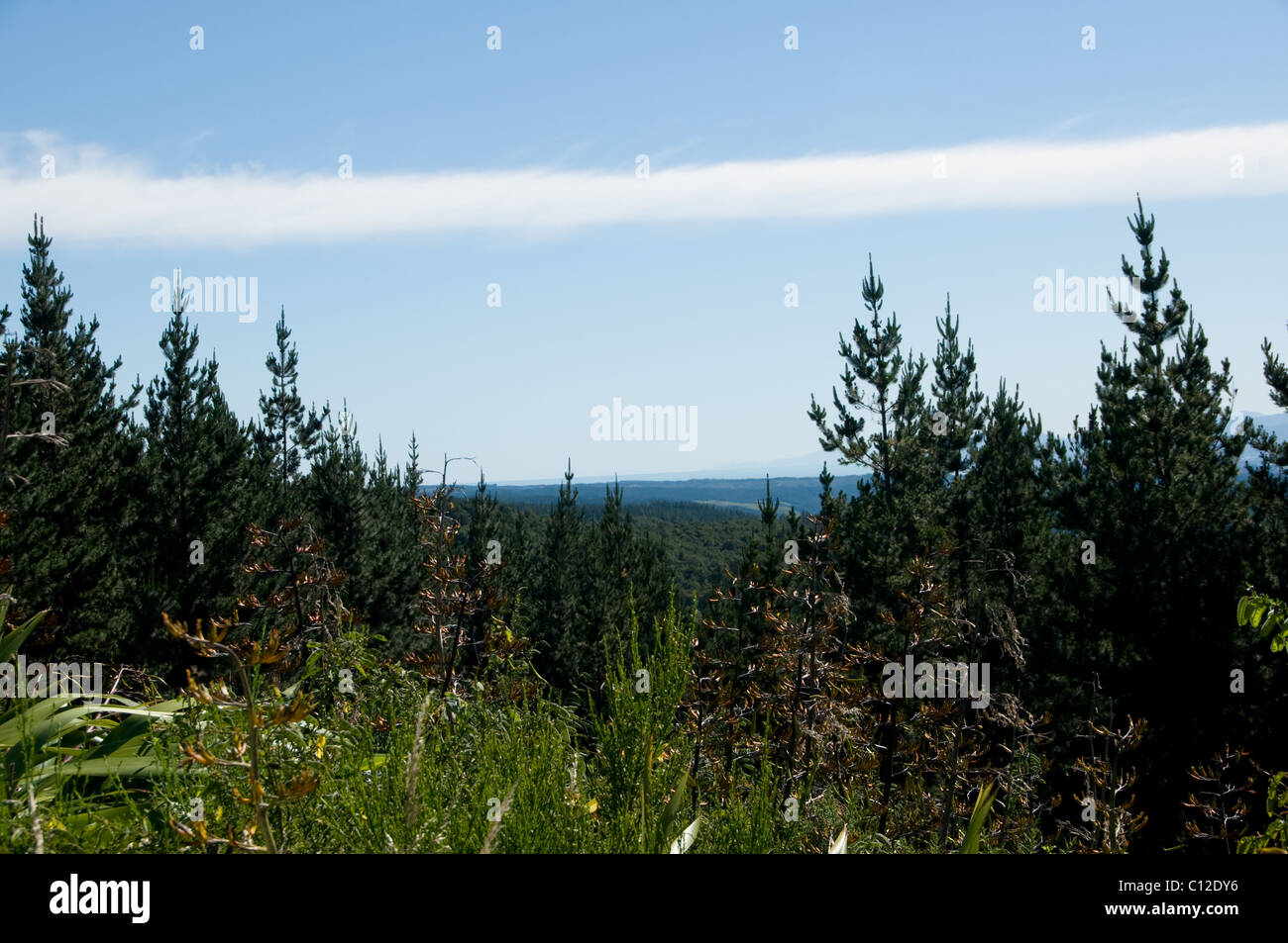 mapua, new zealand Stock Photo - Alamy