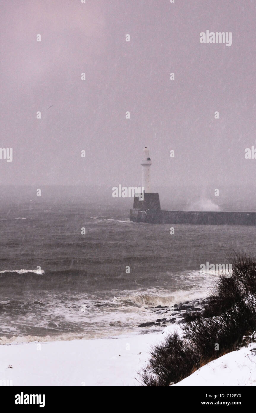 Detail of the coast line and North Sea from the South Aberdeen Coastal ...