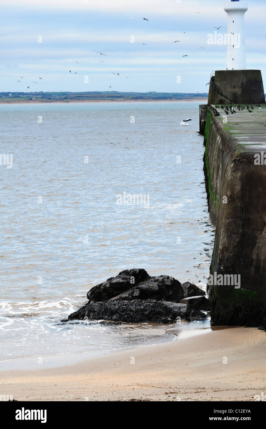 Detail of the coast line and North Sea from the South Aberdeen Coastal ...