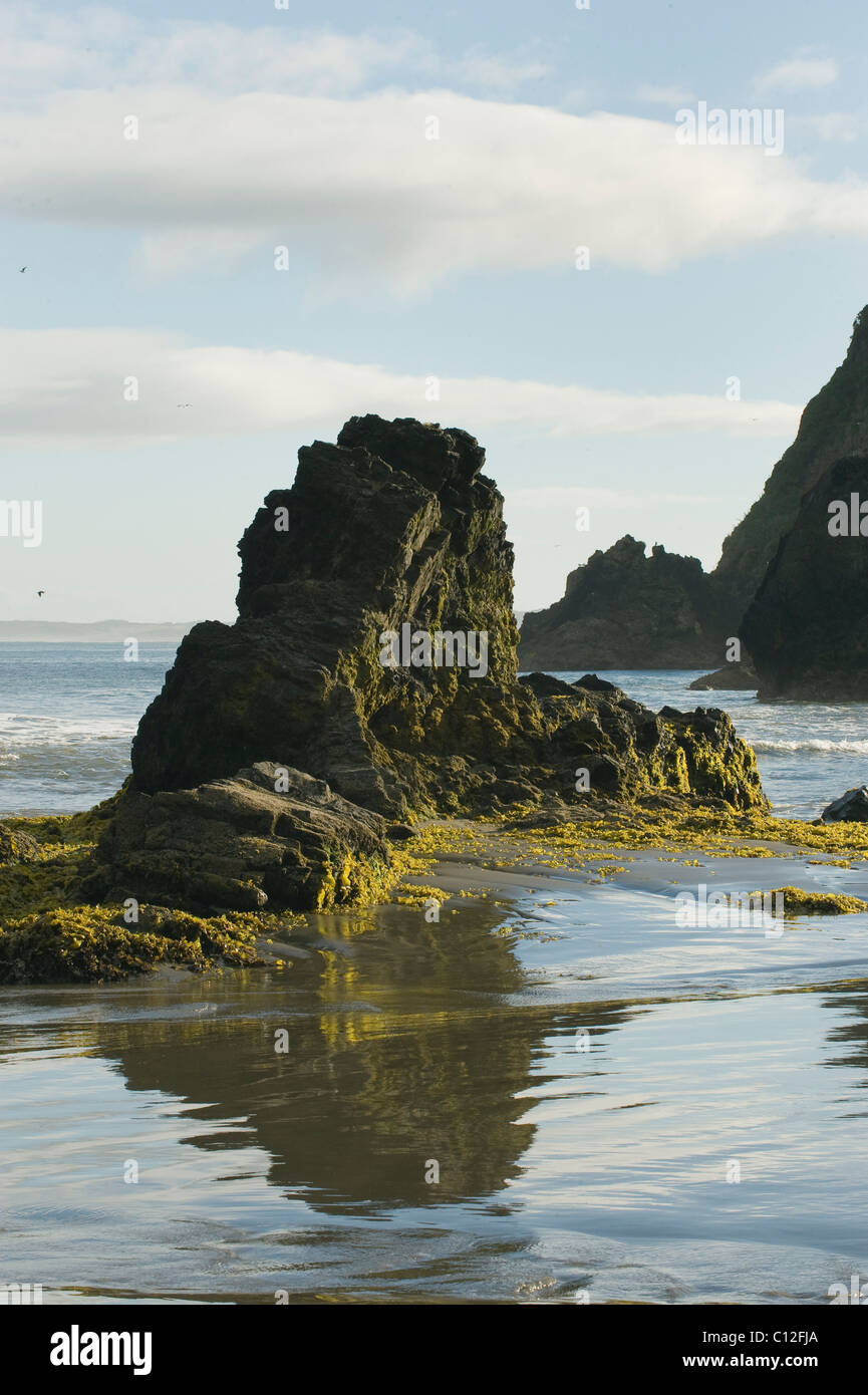 Rocky coastline, Pacific Coast, Chiloe Island, Chile Stock Photo - Alamy