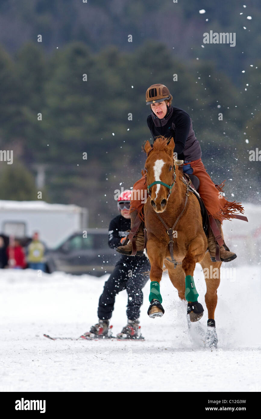 Horse and rider running in the snow while towing a skier during a ski ...