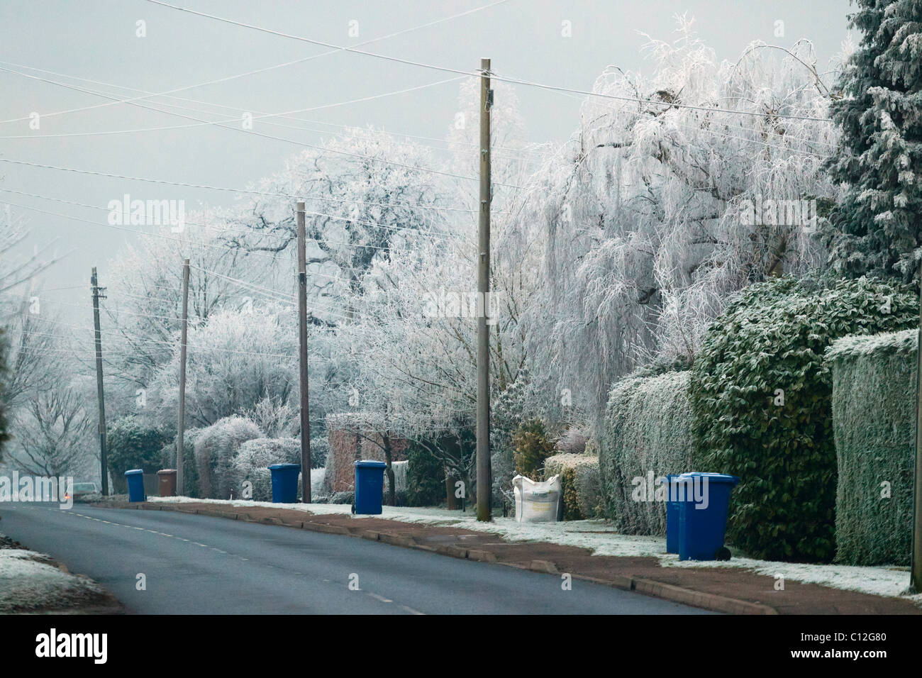 English winter trees hi-res stock photography and images - Alamy