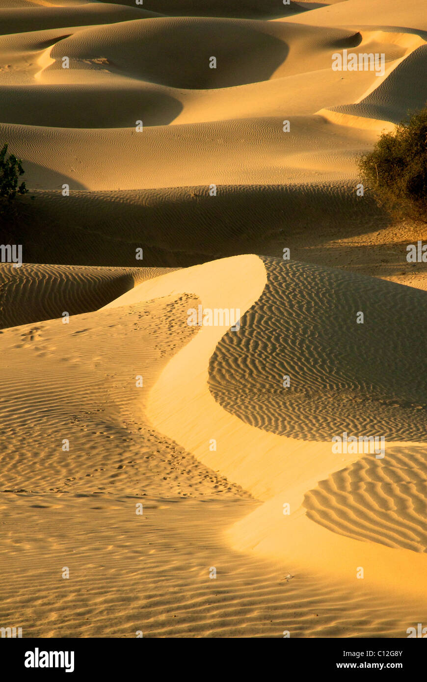 Shot of desert sand dunes with long shadows Stock Photo - Alamy
