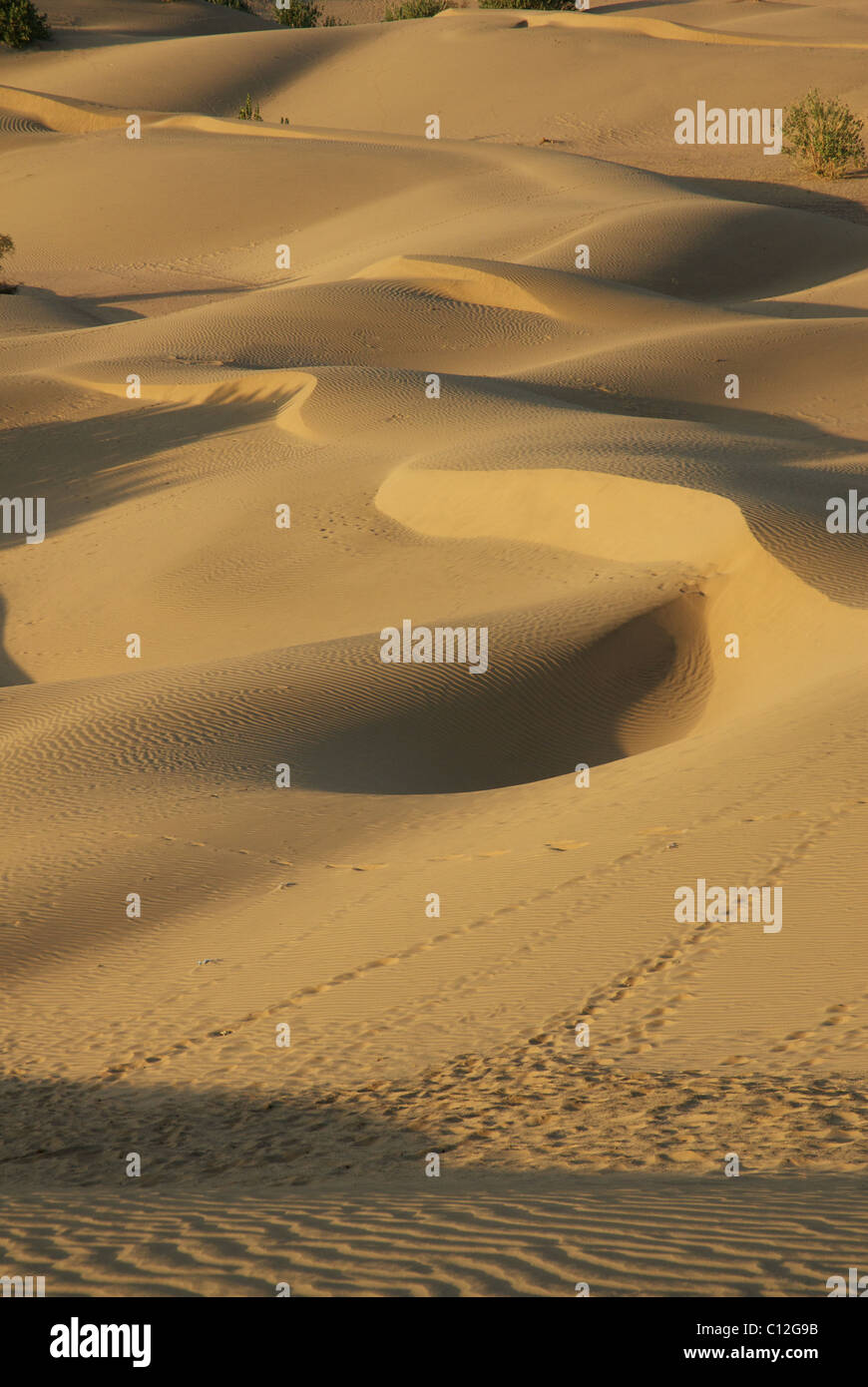 Shot of desert sand dunes with long shadows Stock Photo - Alamy