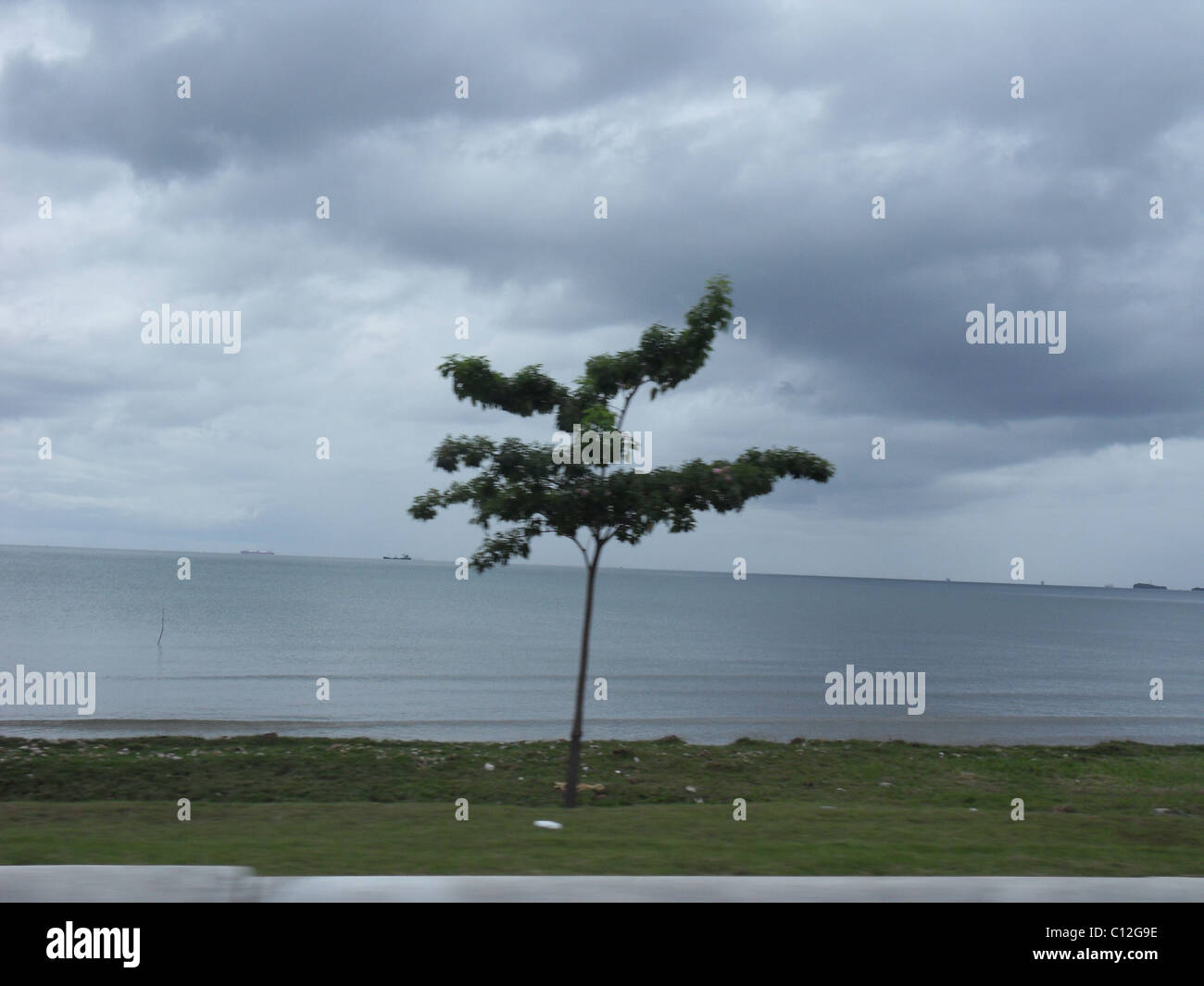 grey clouds & tree Stock Photo - Alamy