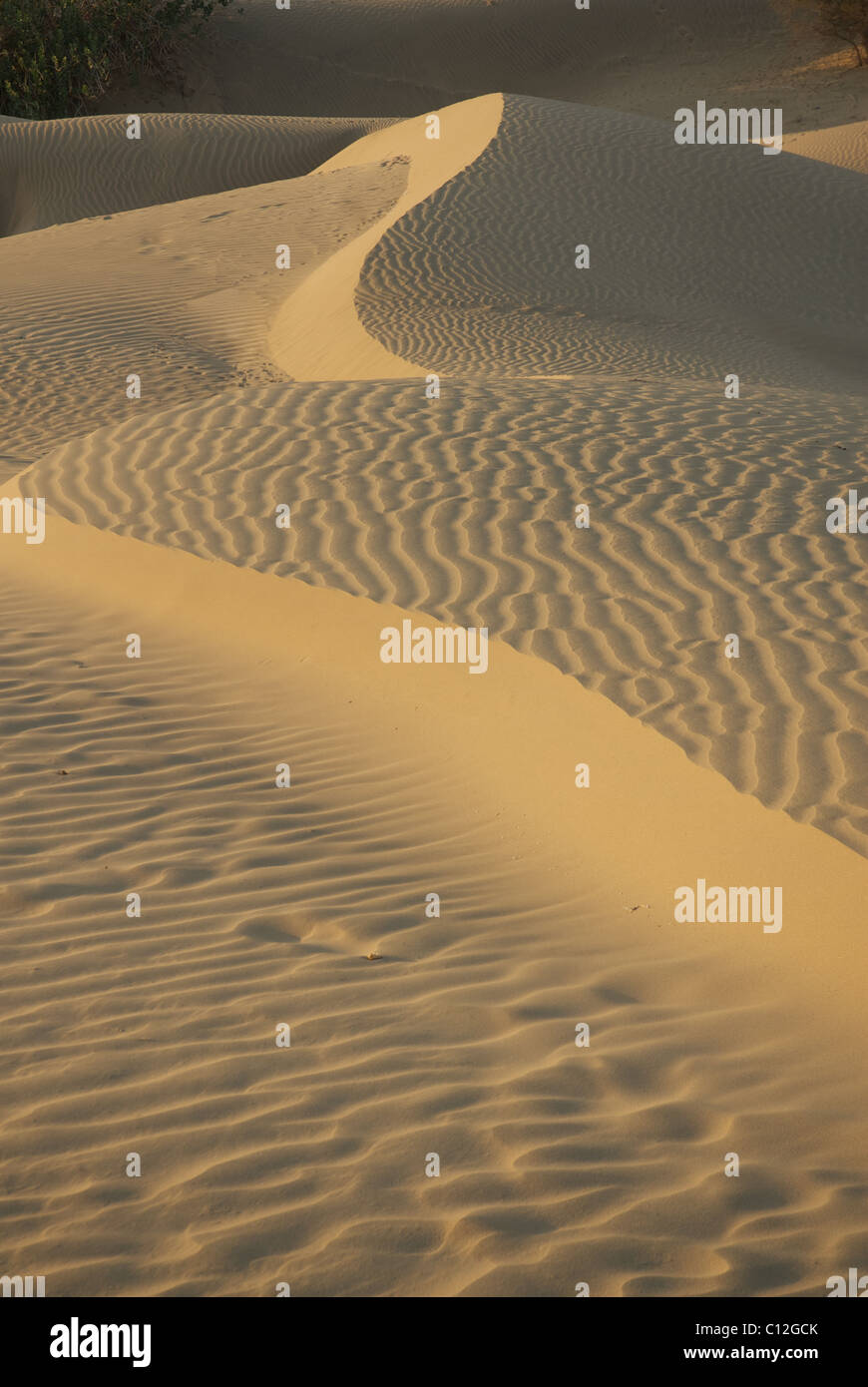 Shot of desert sand dunes with long shadows Stock Photo - Alamy