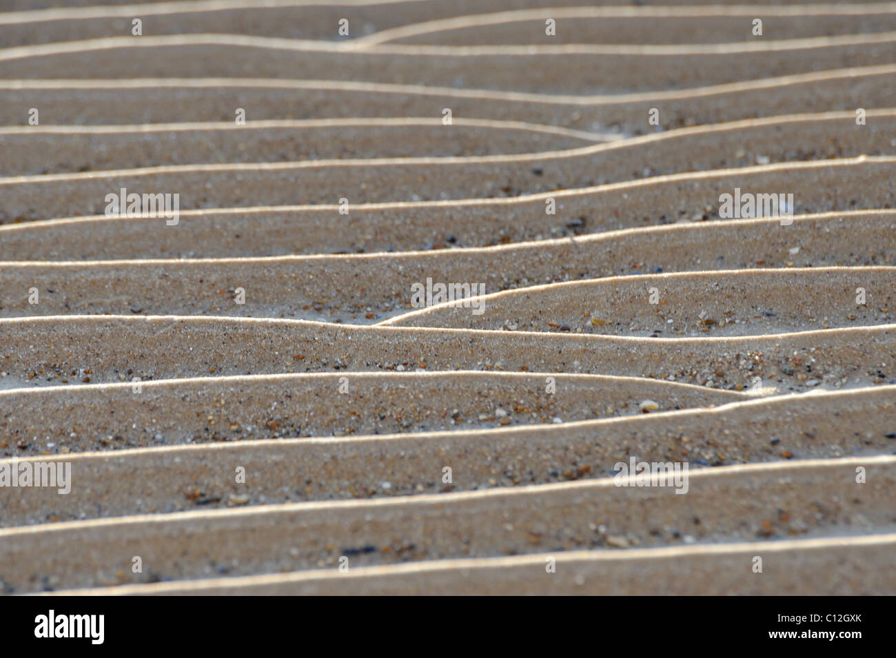 Sand ripples, Southwold, Suffolk, UK Stock Photo - Alamy