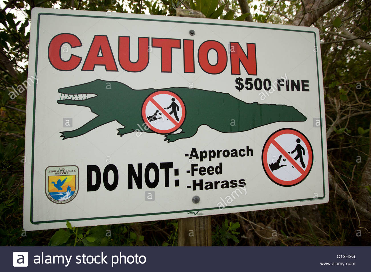 Alligator Warning Sign Stock Photos & Alligator Warning Sign Stock ...