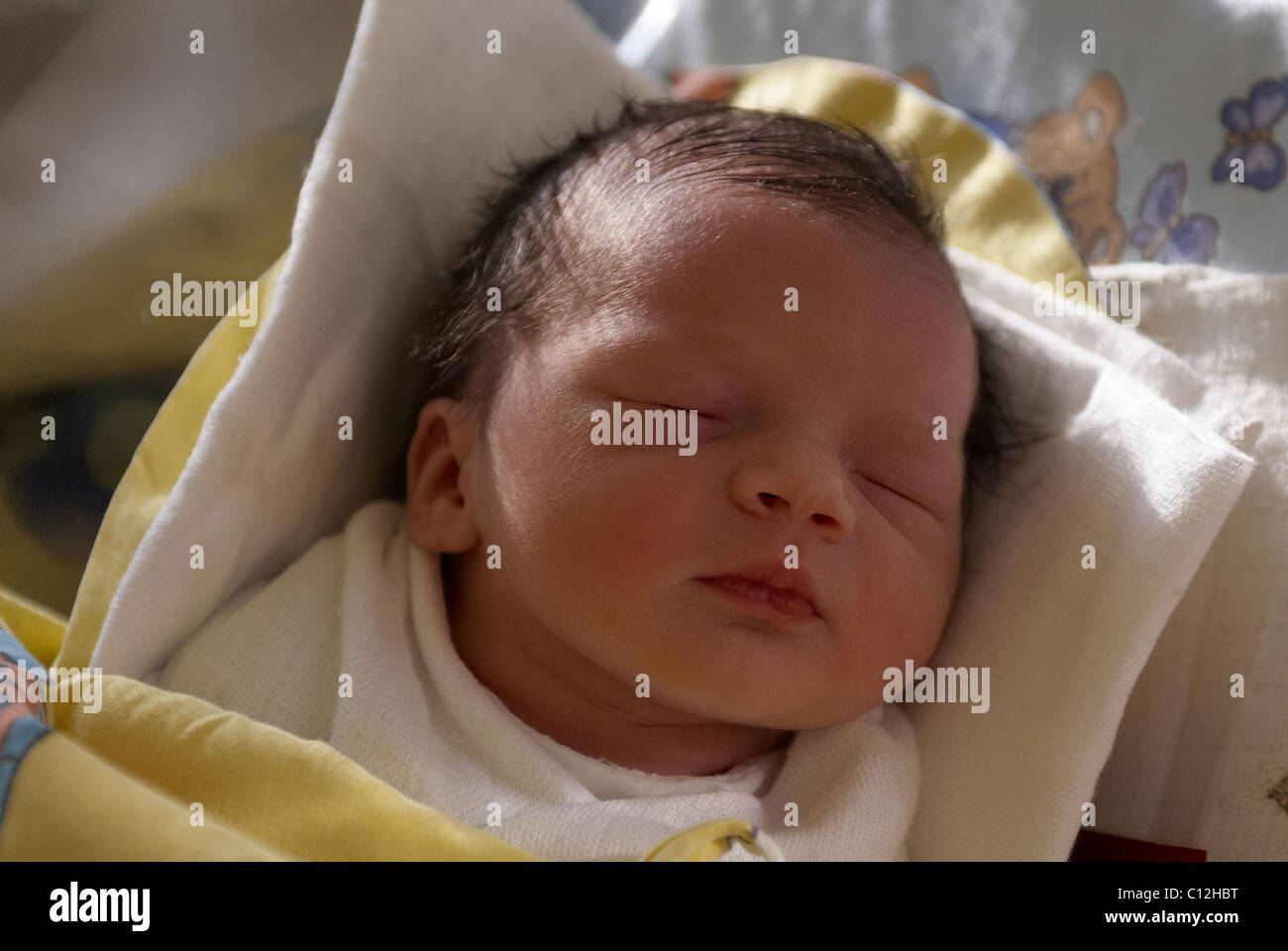 Portrait of sleeping new born baby one 1 day old in maternal hospital ...