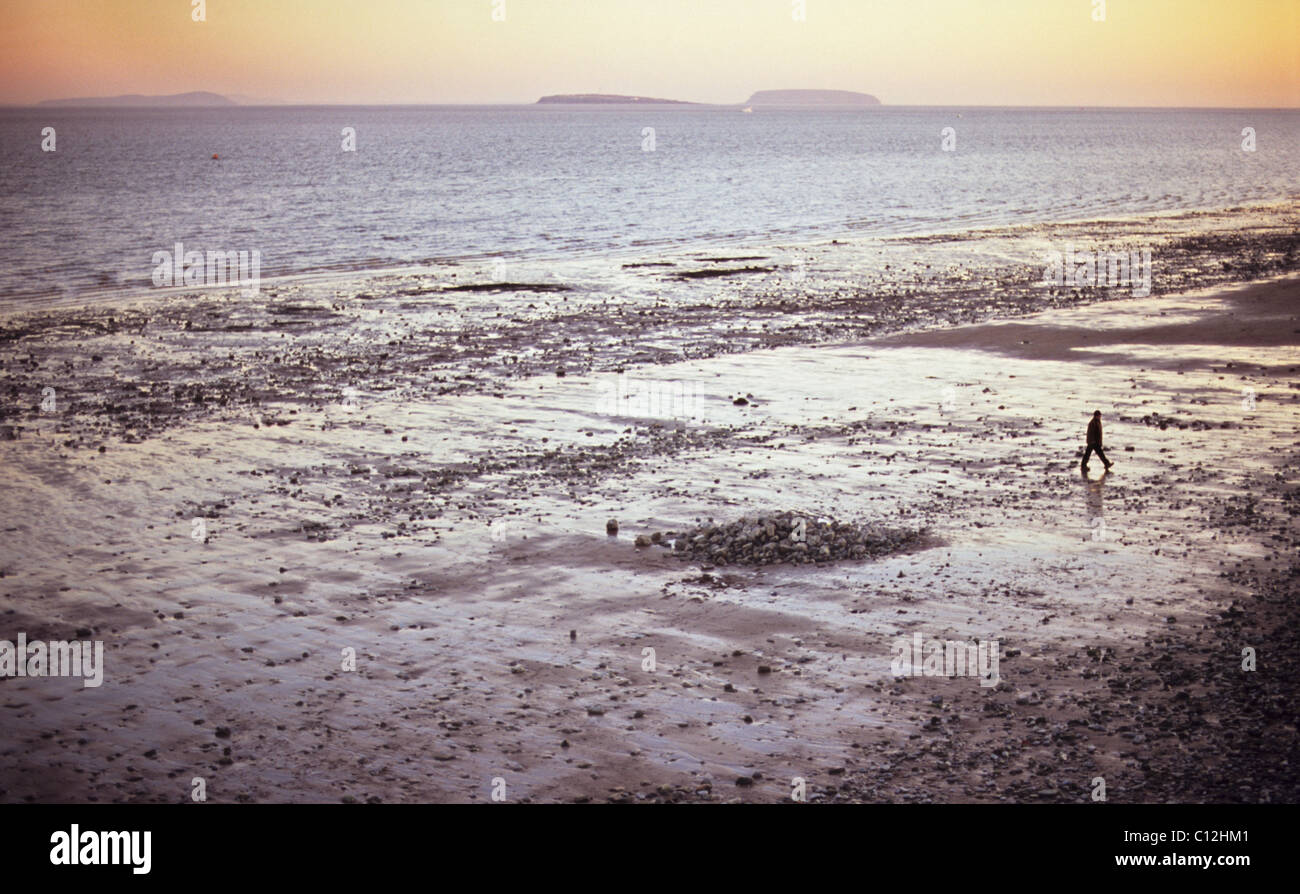 Penarth walk hi-res stock photography and images - Alamy