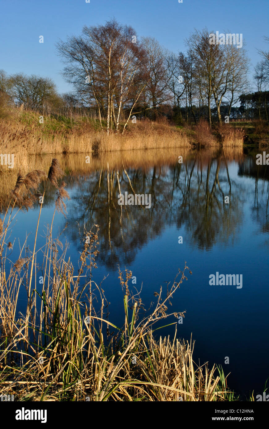 scenes sunsets,lakes nature norfolk Stock Photo - Alamy