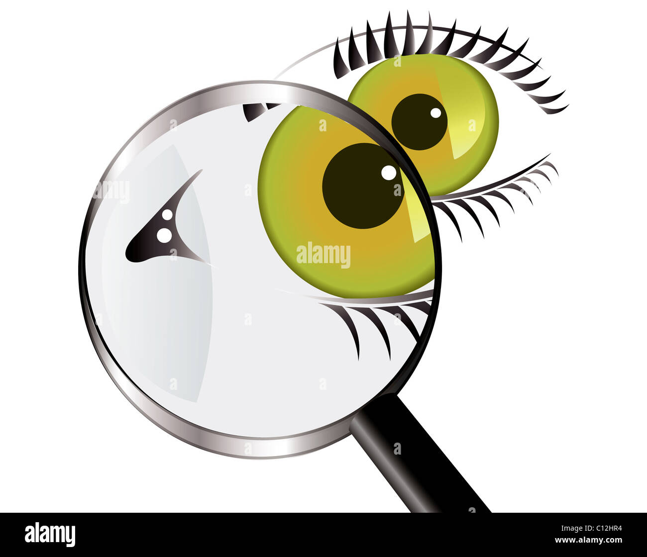 Magnified image hi-res stock photography and images - Alamy