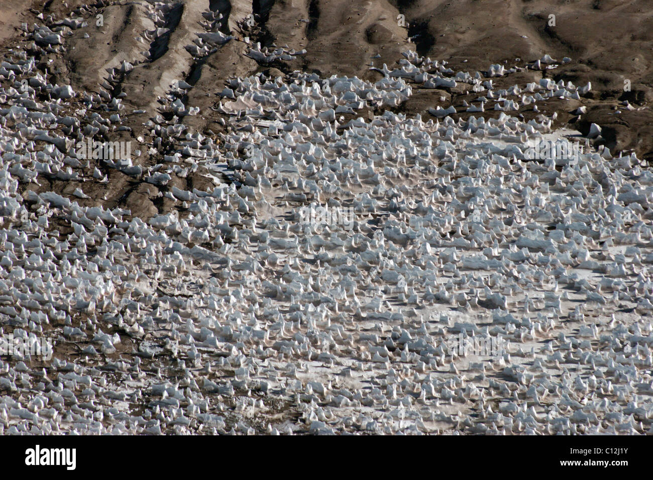 ice snow icicles melting inside volcano Chile Descabeza Grande Stock ...