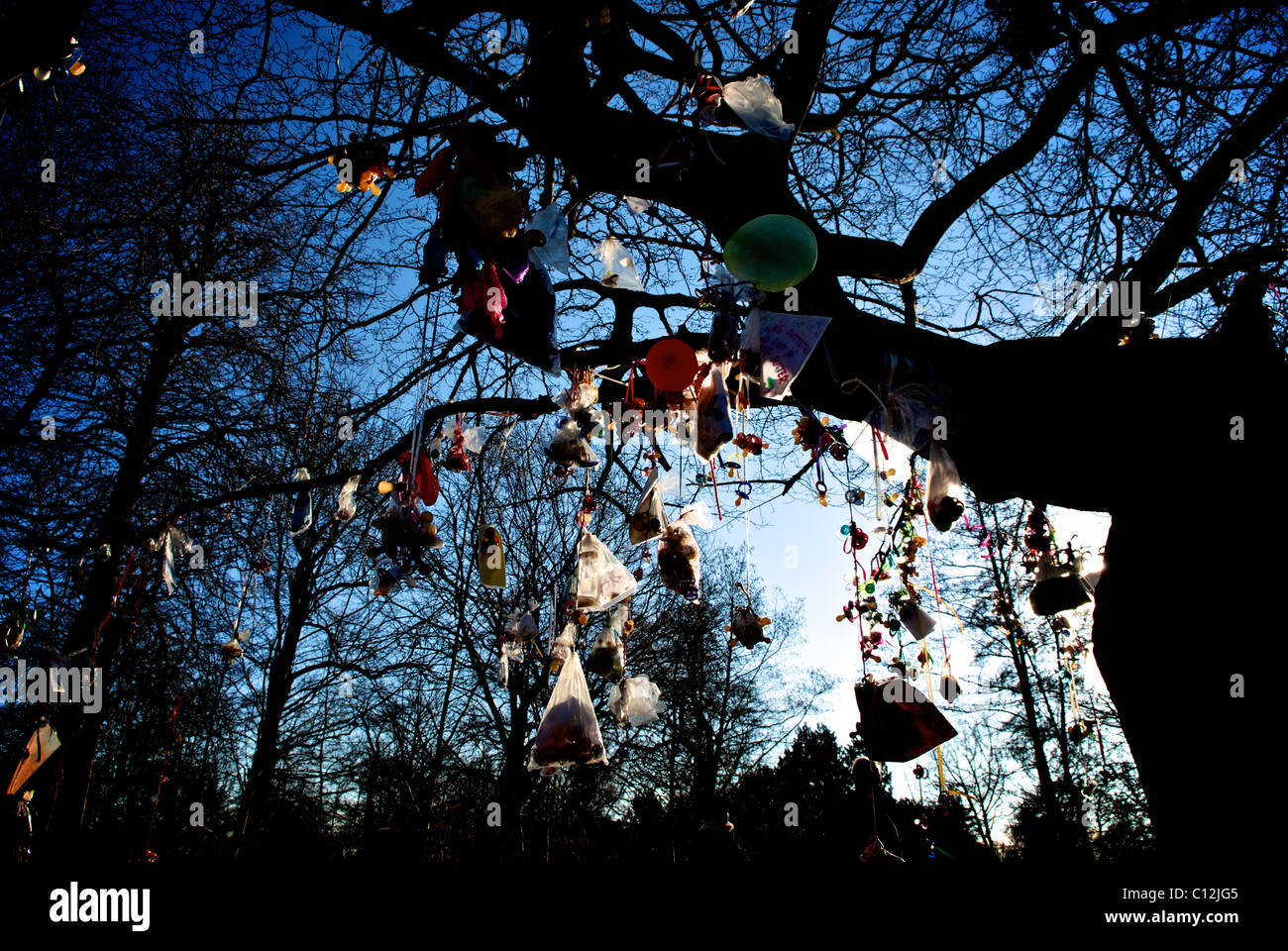 Pacifier Branch High Resolution Stock Photography and Images - Alamy