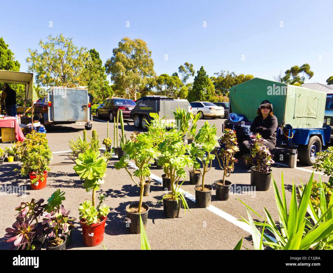 Selling plants car boot hi-res stock photography and images - Alamy