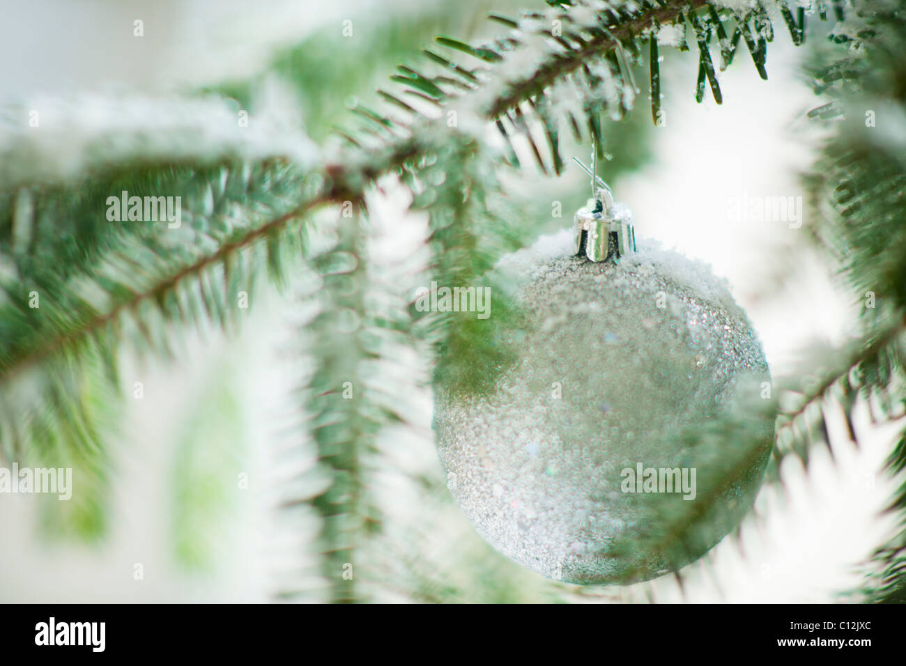 Single tree bauble hi-res stock photography and images - Alamy