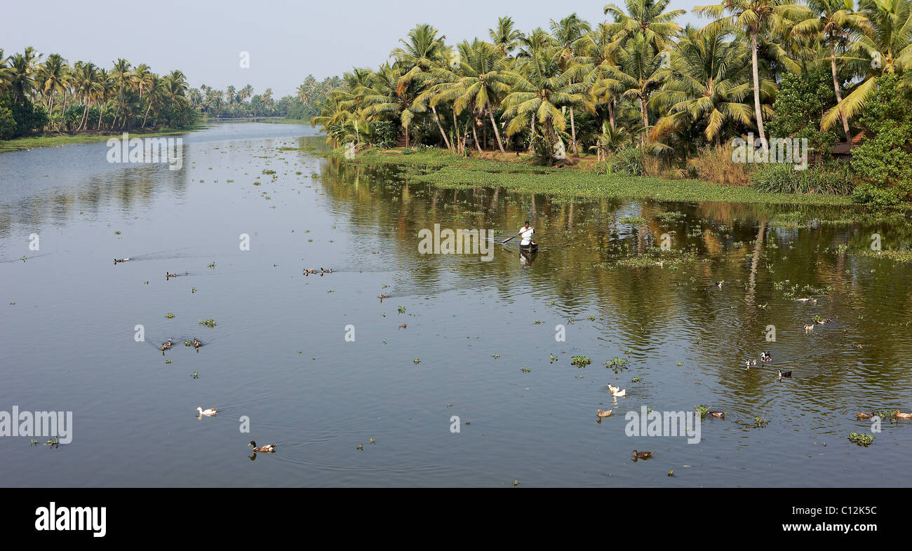 The Backwaters, Kerala, India Stock Photo - Alamy