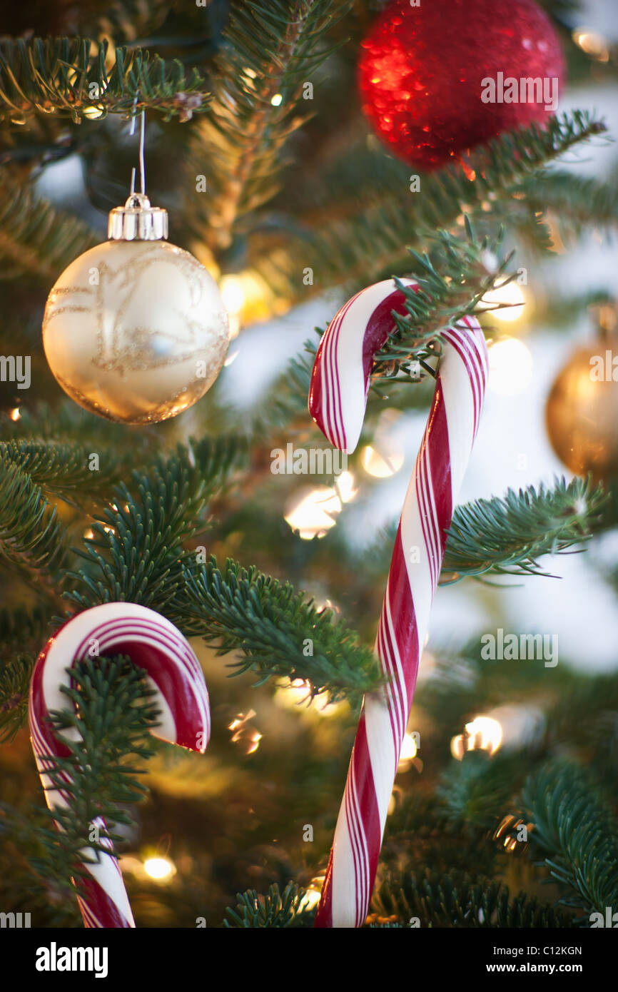 Candy cane christmas tree hi-res stock photography and images - Alamy
