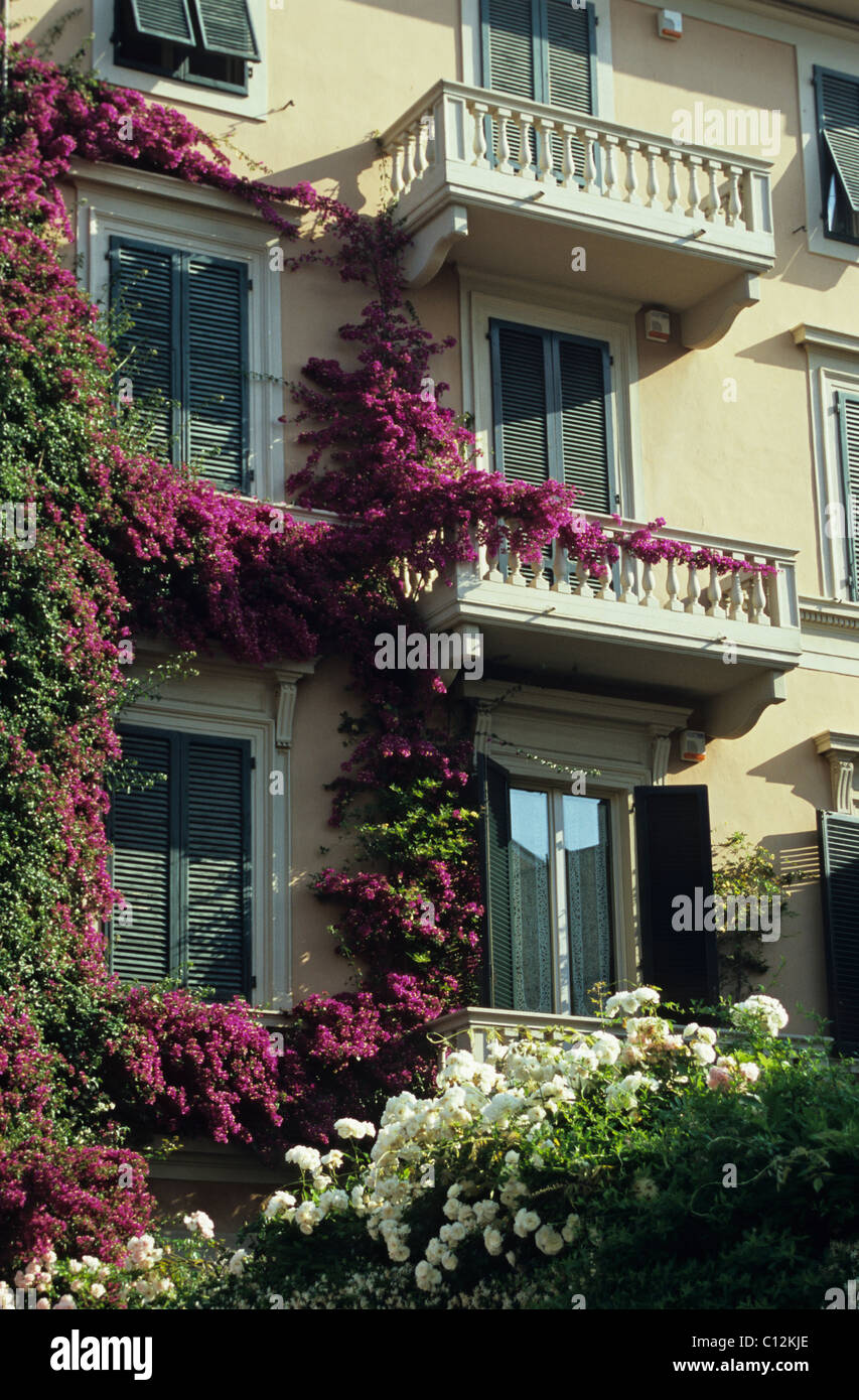 Balconies with flowers, Pisa, Italy Stock Photo - Alamy