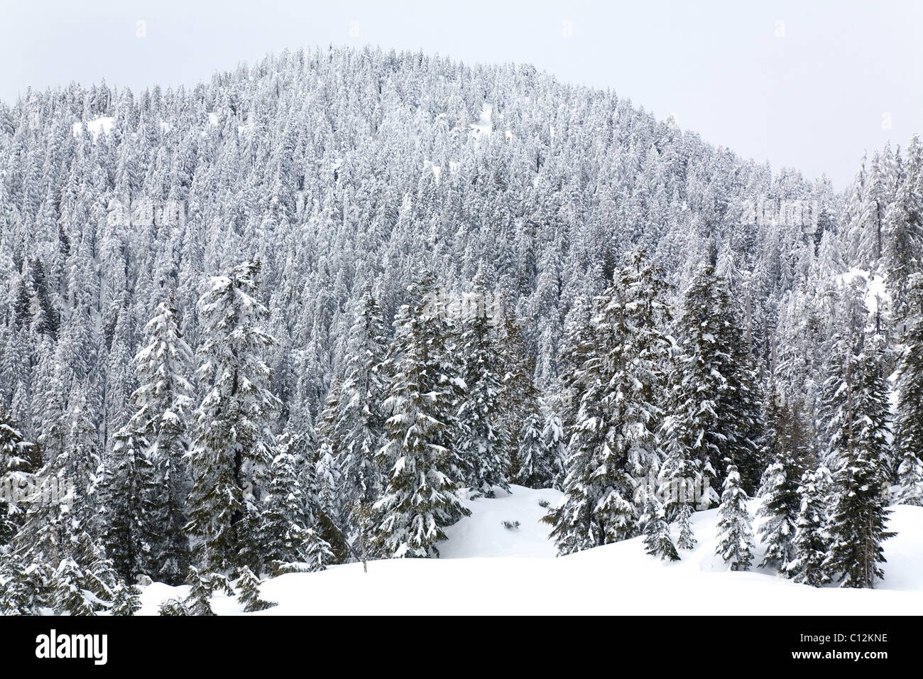 snow mountain, winter landscape in canada vancouver Stock Photo - Alamy