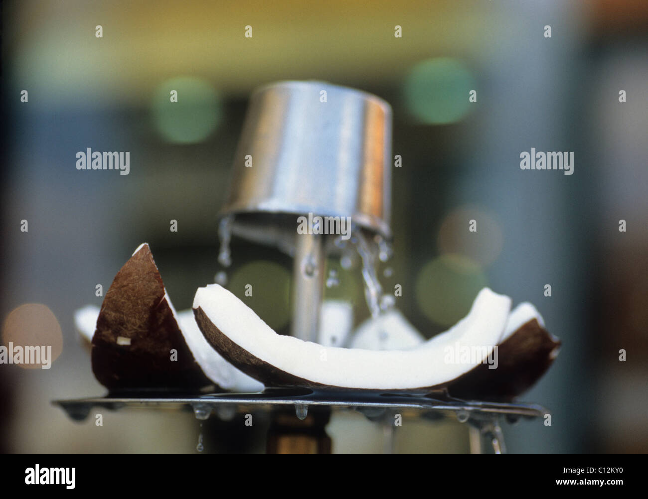 Coconut fountain in a market stall, Pisa, Italy Stock Photo - Alamy