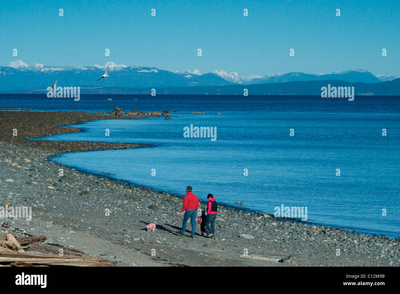 Point holmes comox hi-res stock photography and images - Alamy