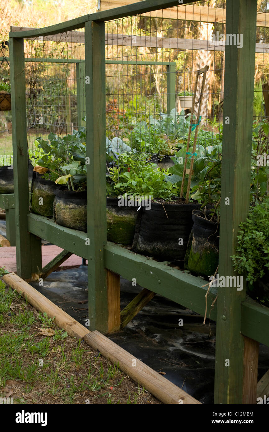 Container gardening is made easier by placing the plants on raised ...