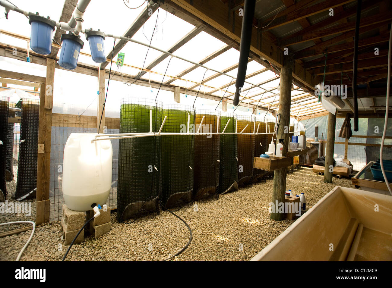 Algae farm usa High Resolution Stock Photography and Images - Alamy