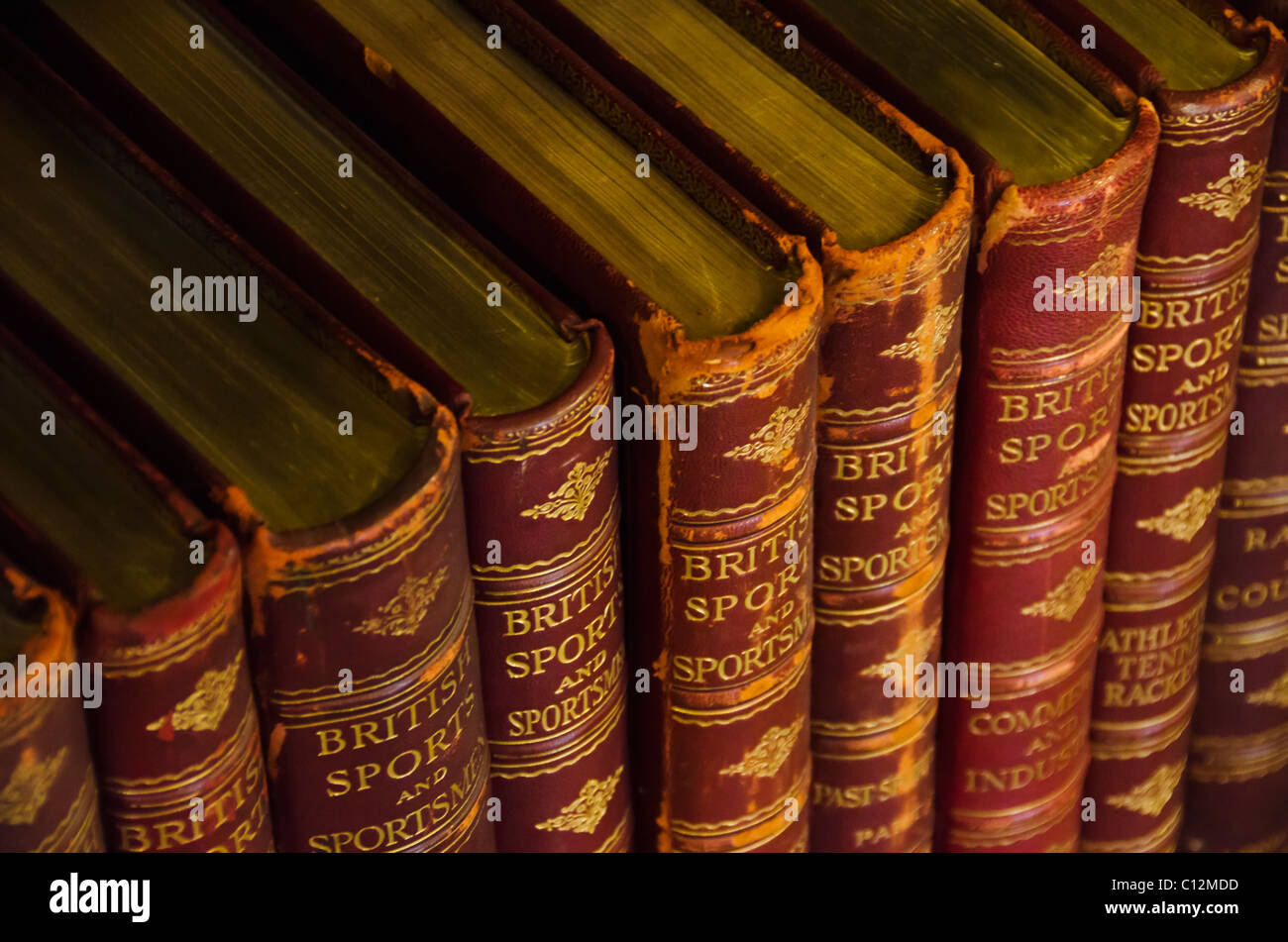 Closed Book Spine