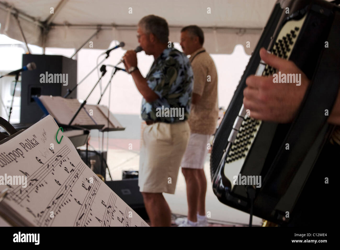 Polka Accordion Master