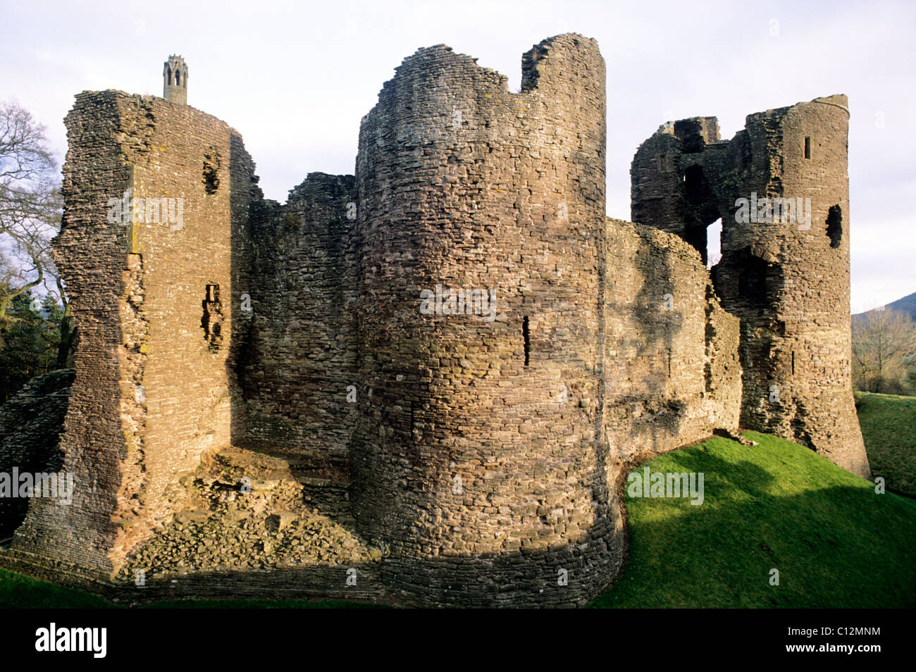 Grosmont Castle, Powys, Wales, Welsh medieval castles, ruin ruins ...