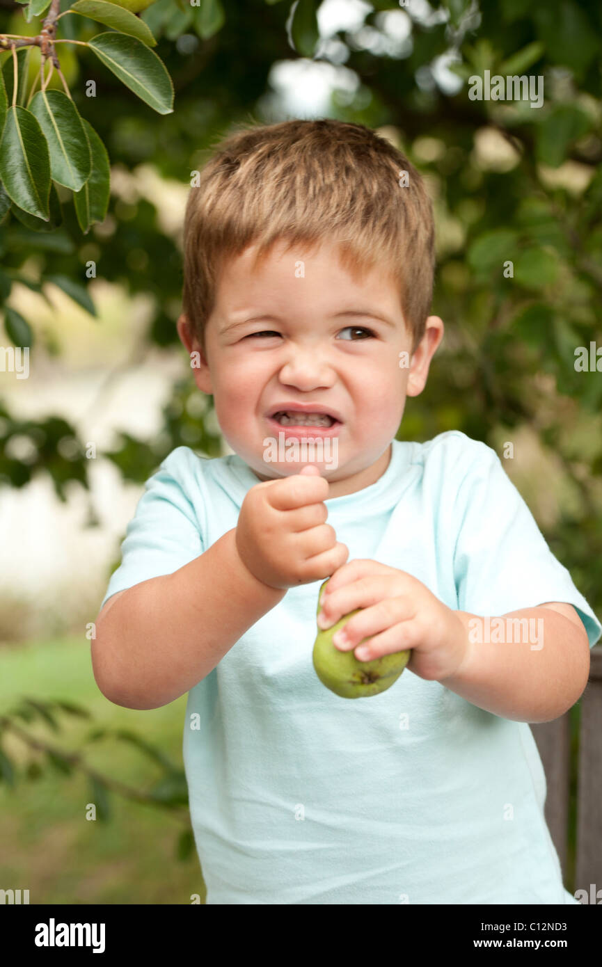 little boy making funny face while pulling stem from pear Stock Photo ...