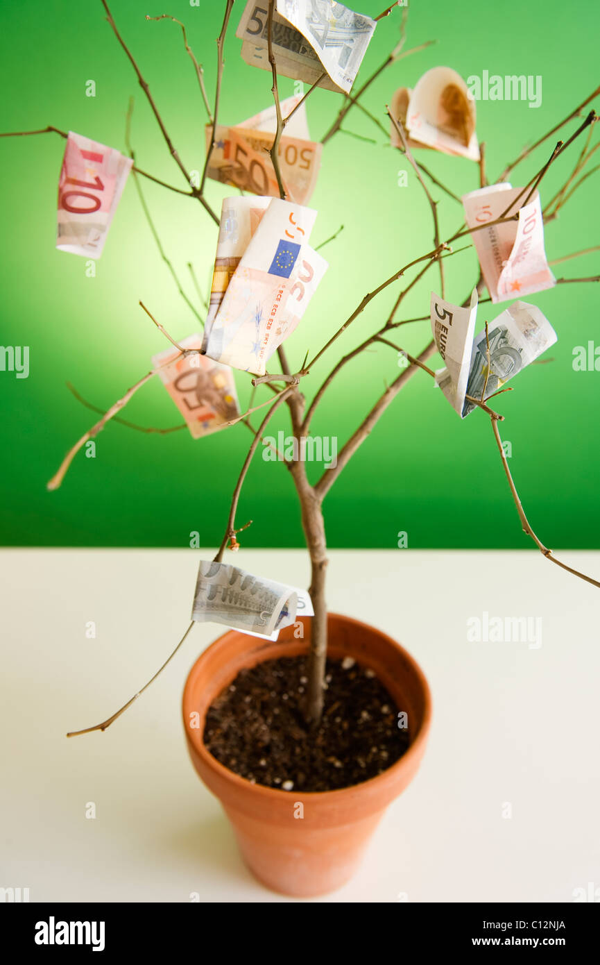 Money euro tree hi-res stock photography and images - Alamy
