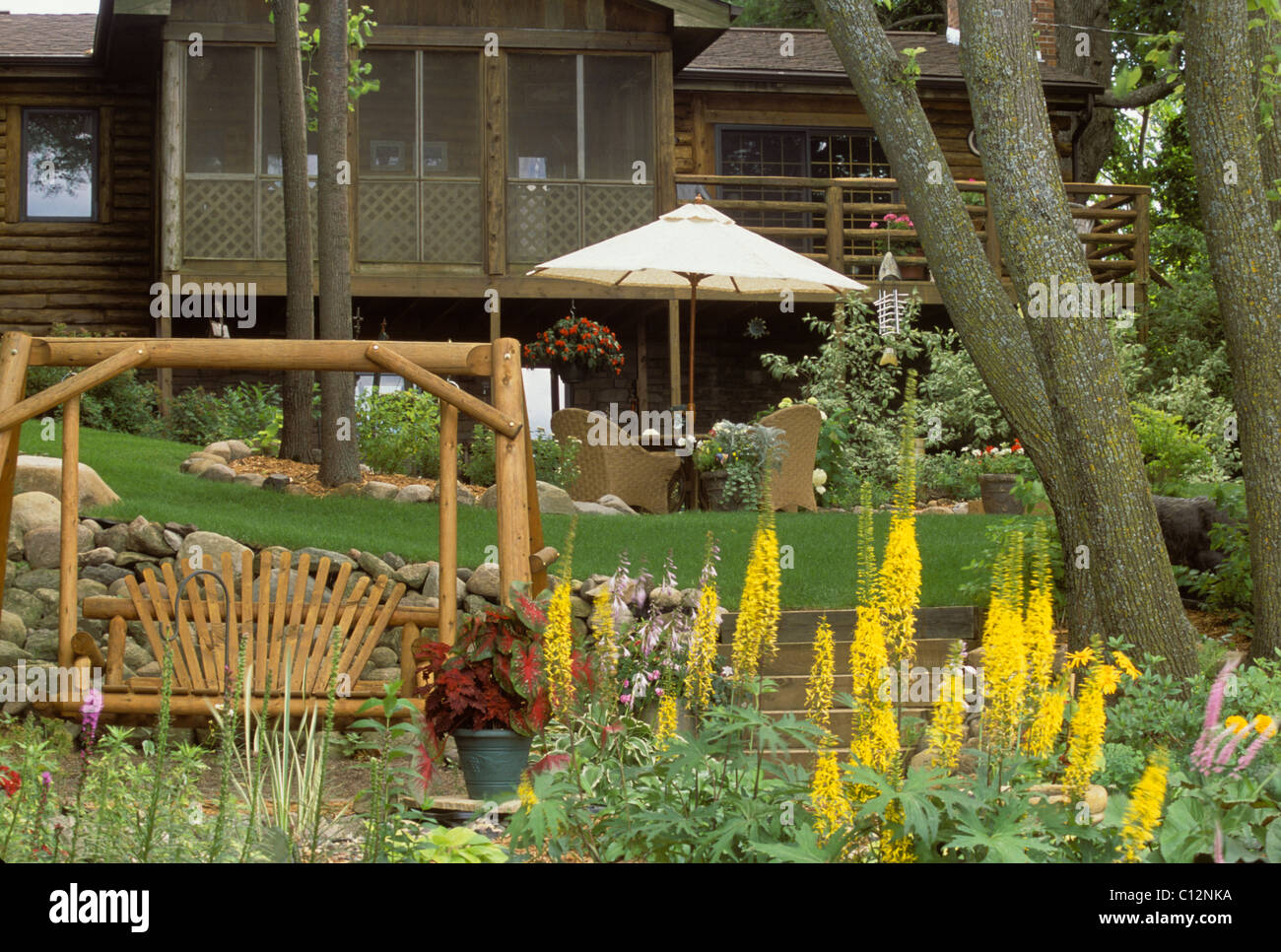 BACK VIEW OF MIDWESTERN LOG HOME WITH PATIO, WOODEN SWING AND LIGULARIA ...
