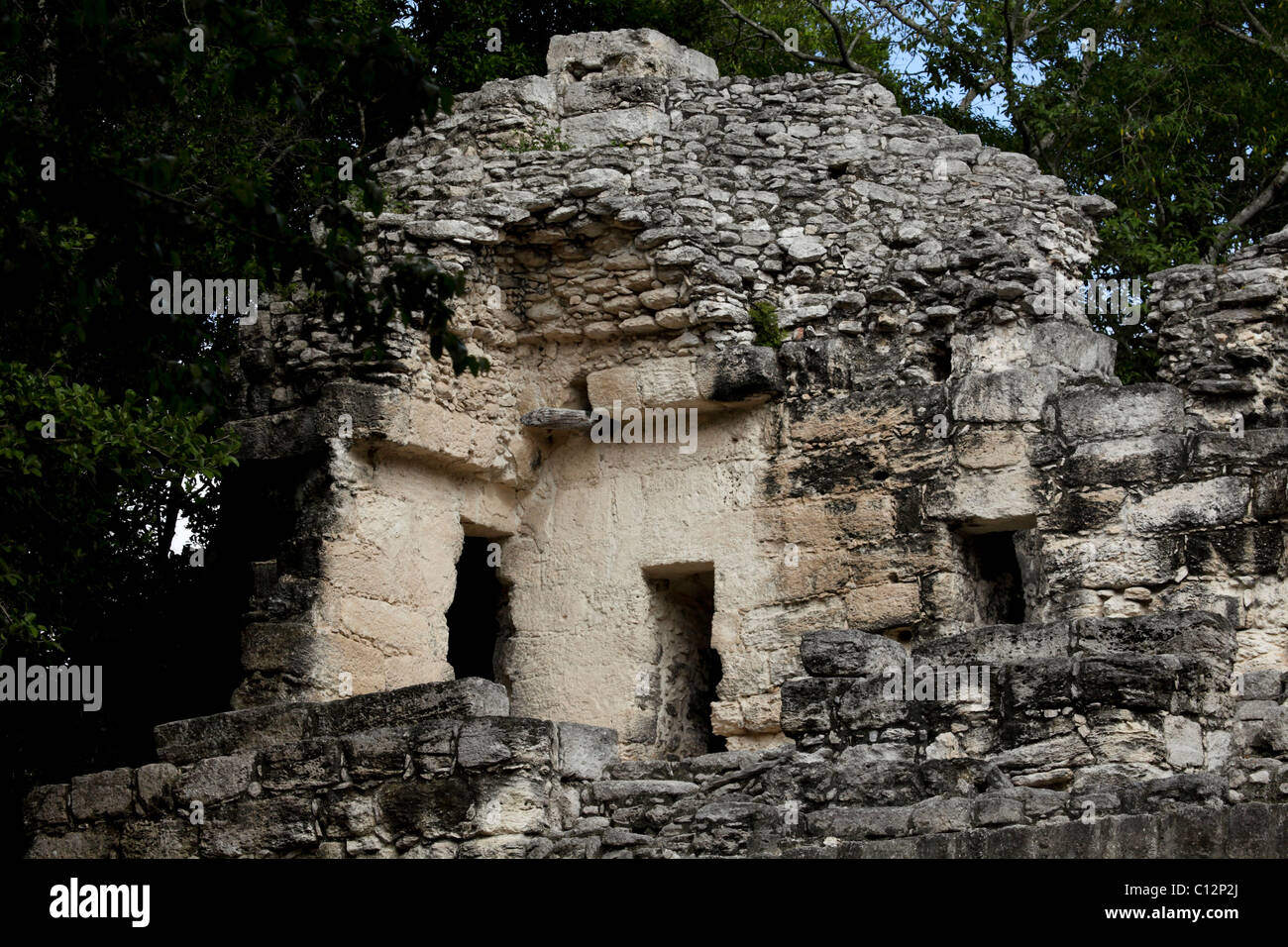 MEXICAN RUINS AT CALAKMUL, YUCATAN, MEXICO Stock Photo - Alamy