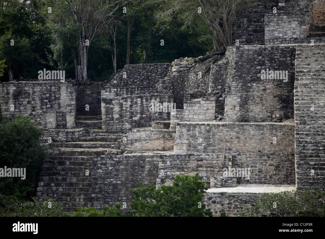 MEXICAN RUINS AT CALAKMUL, YUCATAN, MEXICO Stock Photo - Alamy