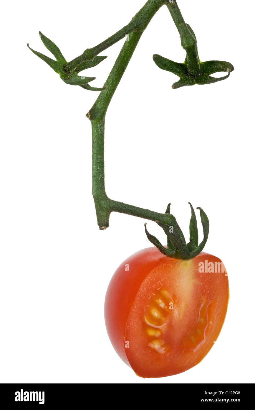 Half vine tomato isolated on white background Stock Photo - Alamy