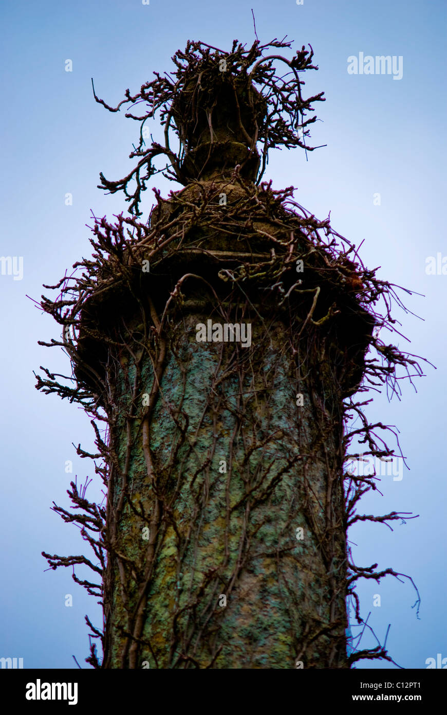 Overgrown gate post Stock Photo - Alamy