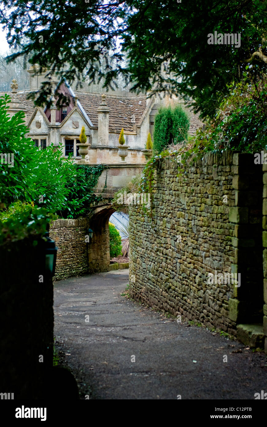 Trees and footpath in English village Stock Photo - Alamy