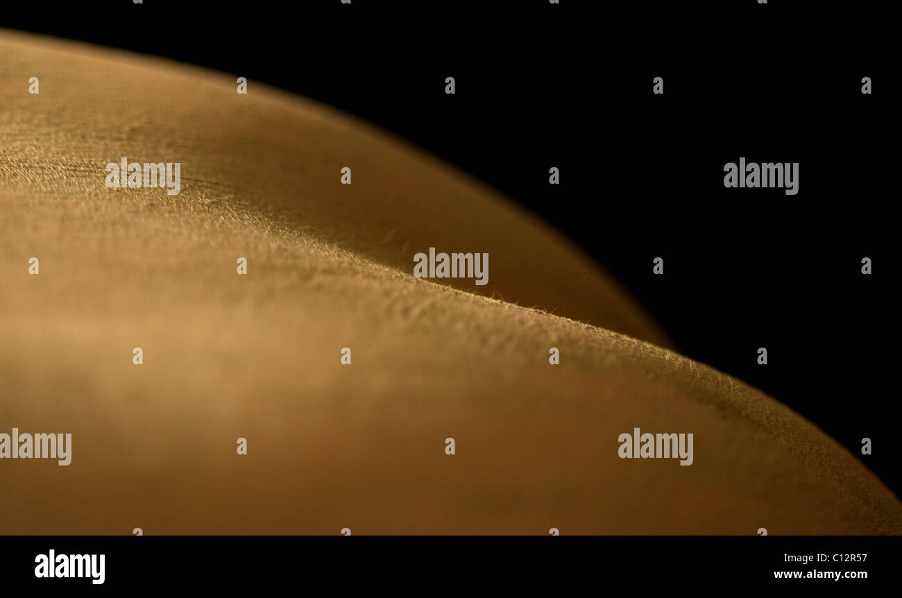 Skin of lower back Stock Photo - Alamy